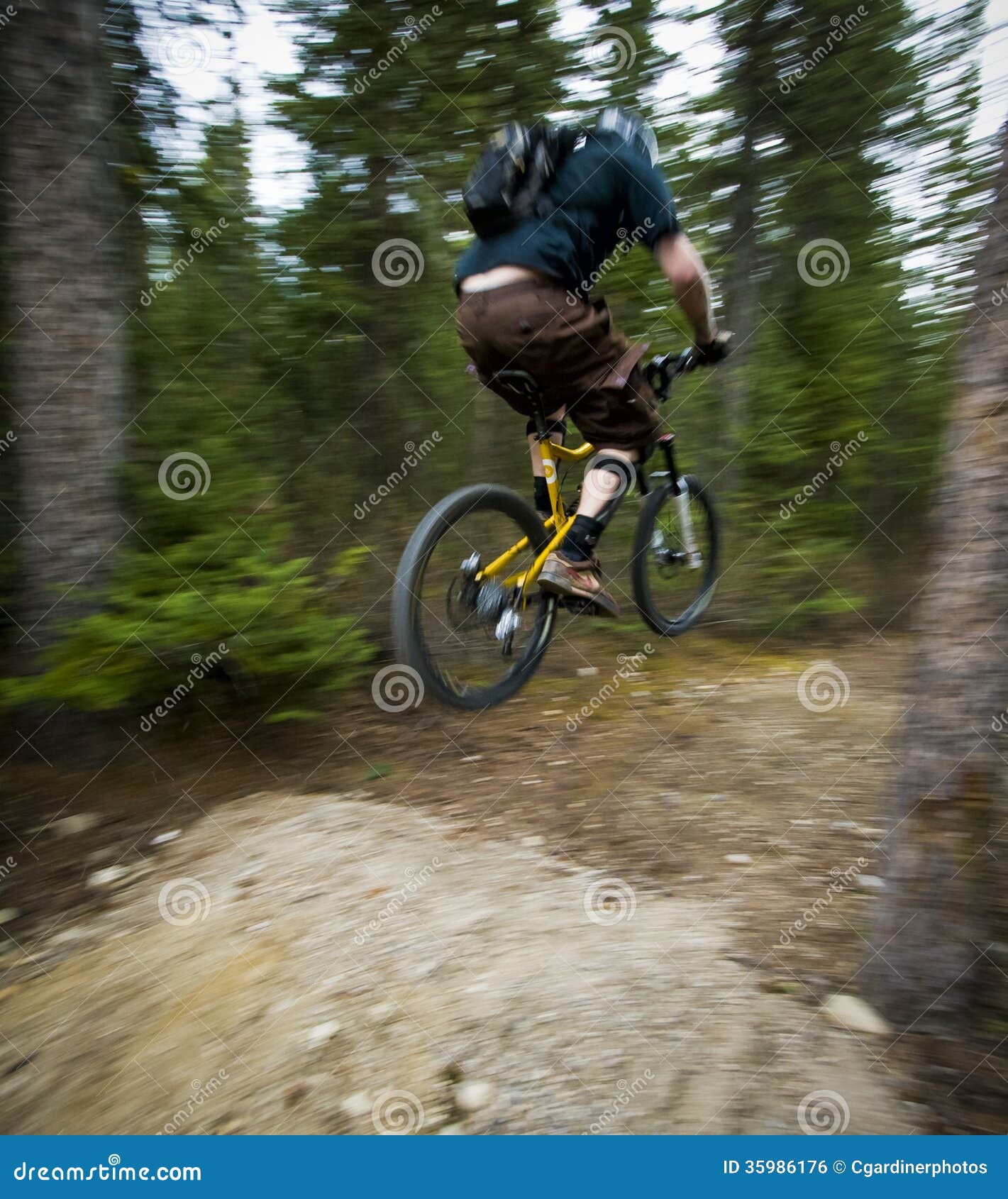 Mountain Biker in the Air stock photo. Image of woodland - 35986176