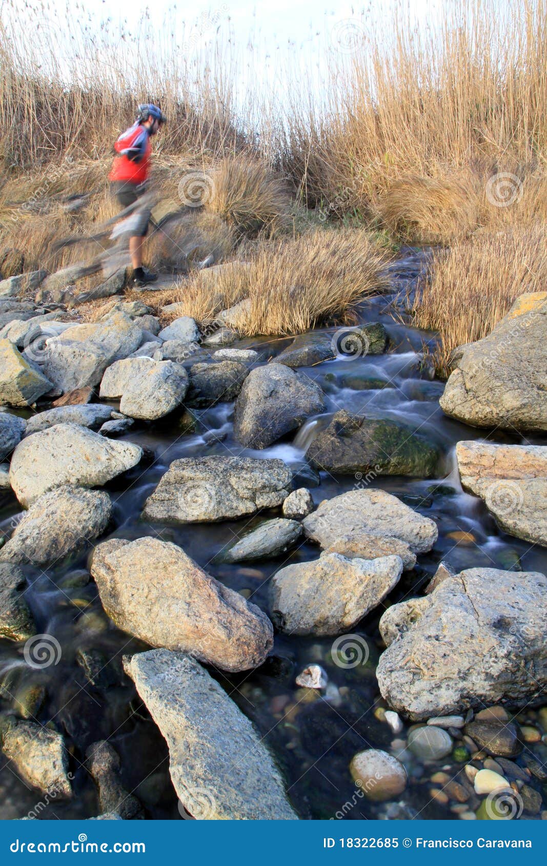 Mountain Biker Crossing a Stream Stock Image - Image of leisure, male ...