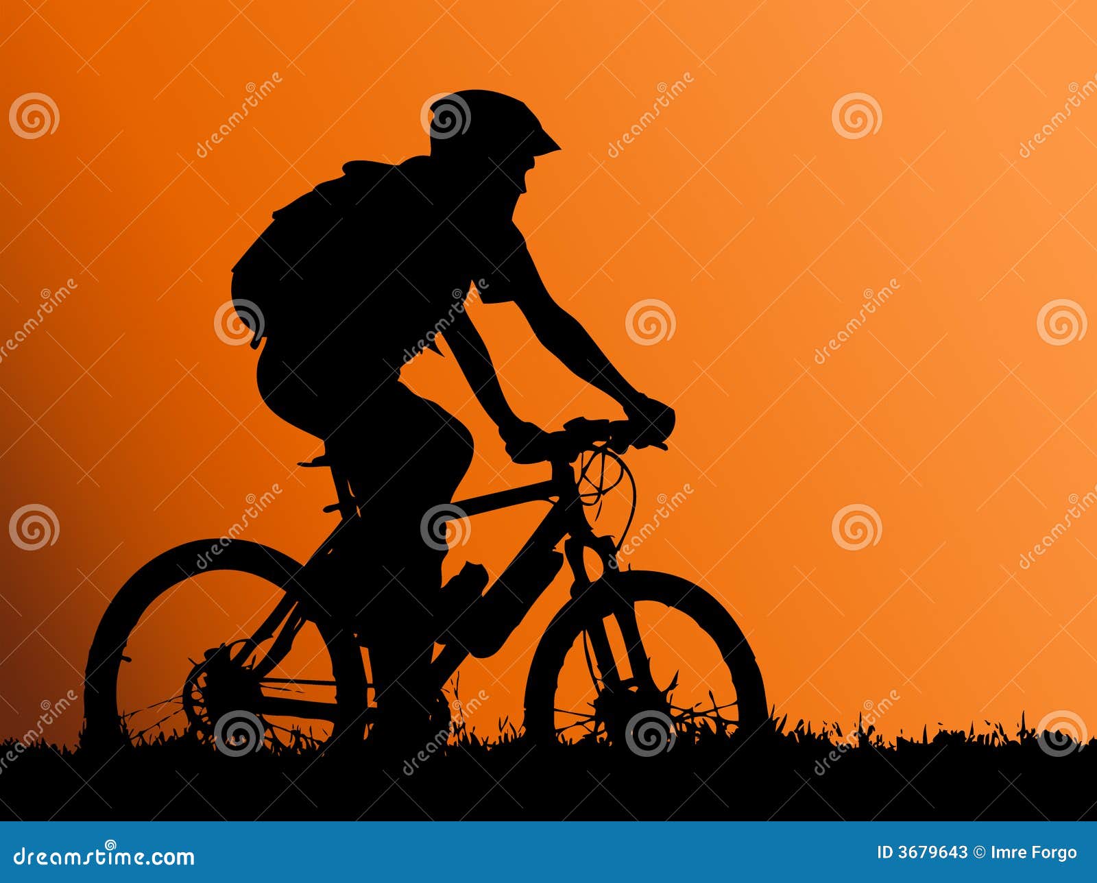 Mountain Biker Racing Down Steep And Twisty Descent, With View Of ...