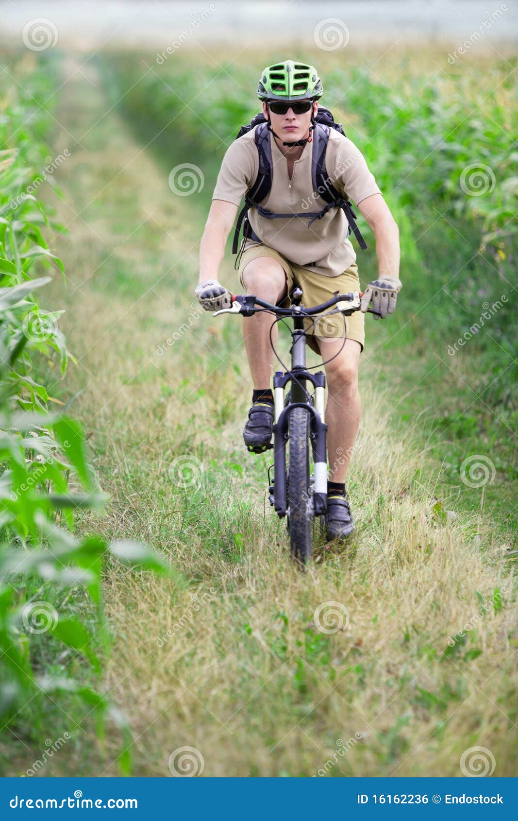 Mountain Biker Riding on Bicycle Stock Photo - Image of bicycle, grass ...