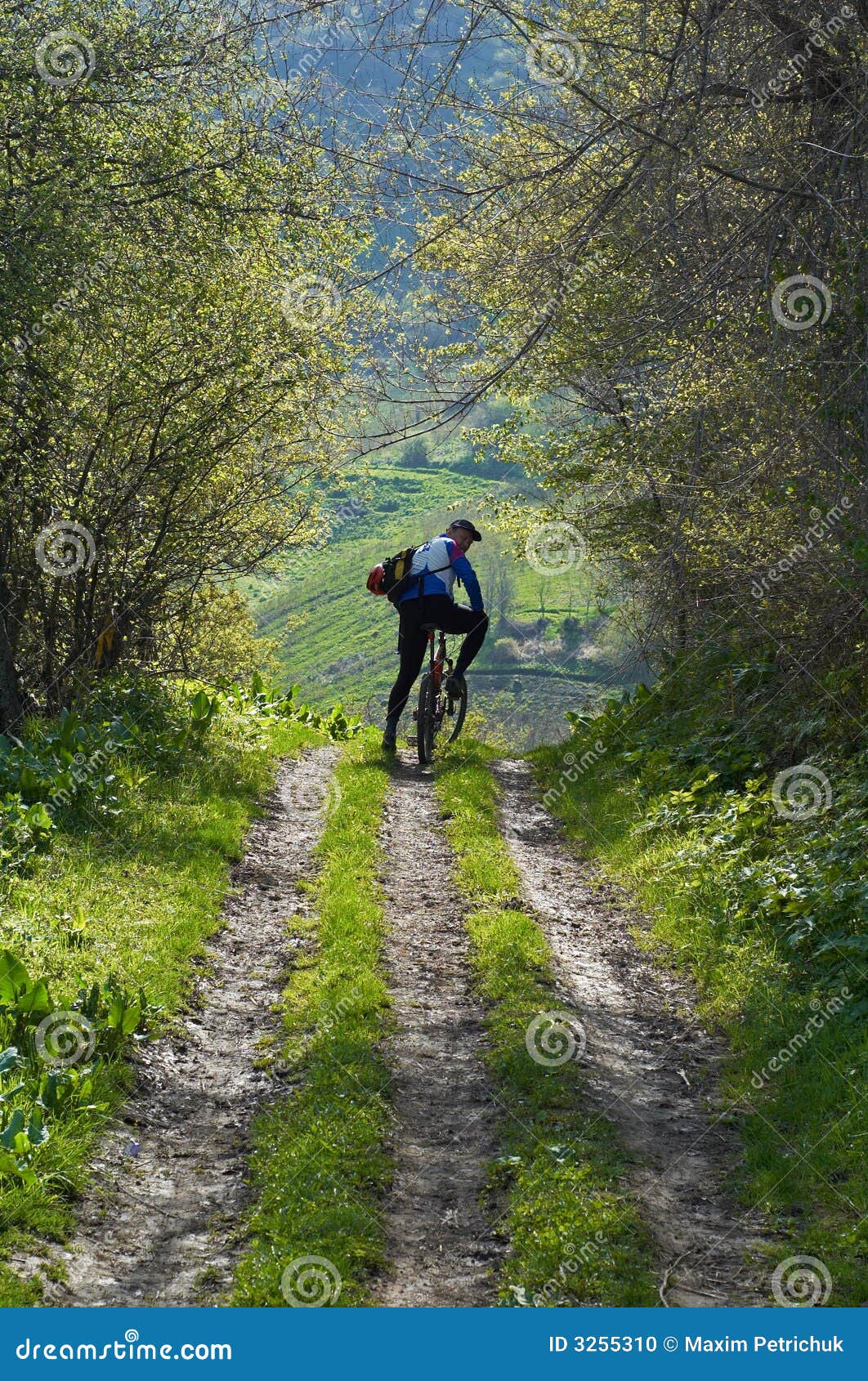 Mountain Biker on Rural Road Stock Photo - Image of bicycle, cyclist ...