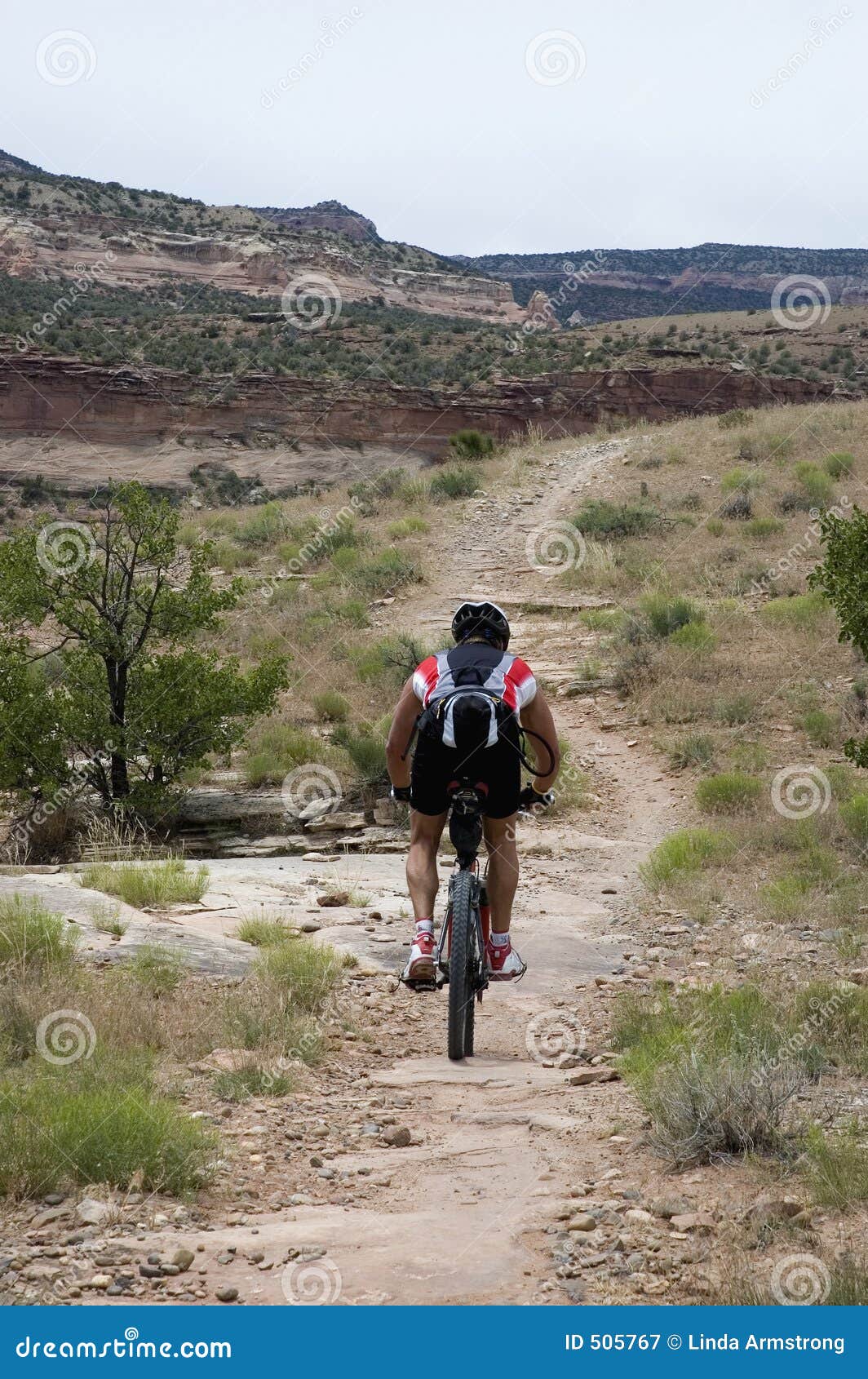 Mountain Biker on Rustler S Loop Stock Image - Image of desert ...