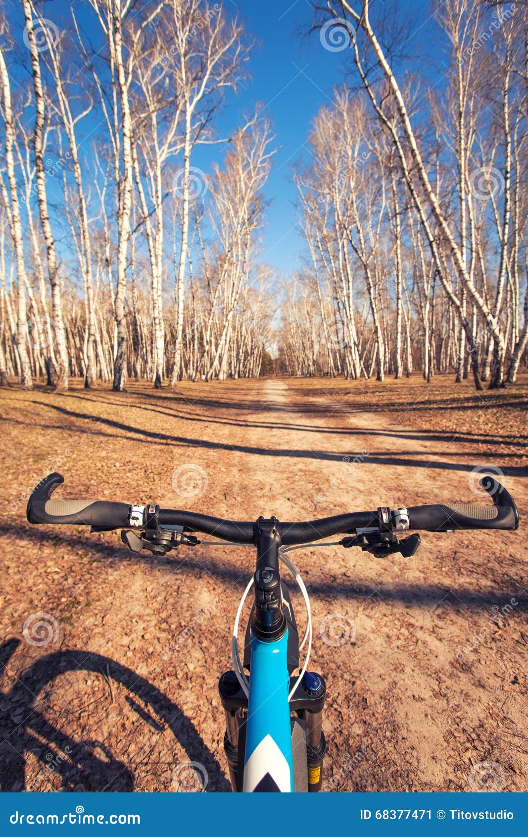 Mountain Biking Down Hill Descending Fast on Bicycle. Stock Image ...