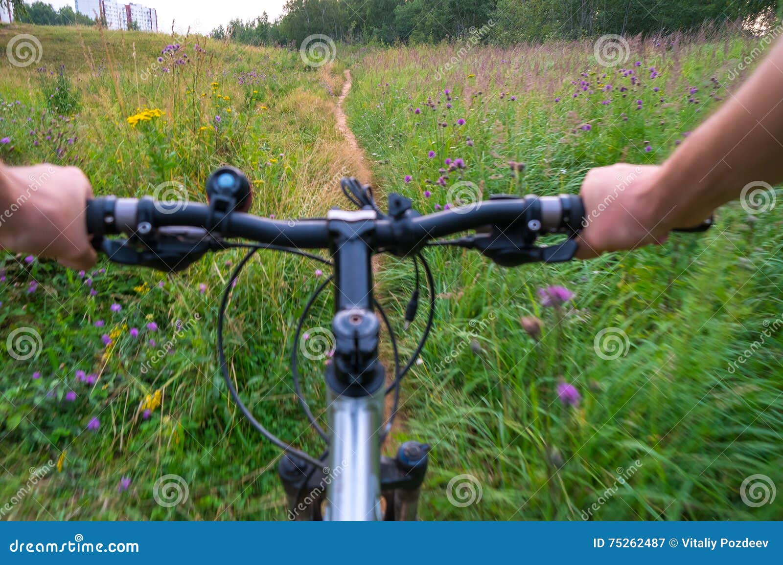 Mountain Biking Down Hill Descending Fast on Bicycle. Stock Image ...