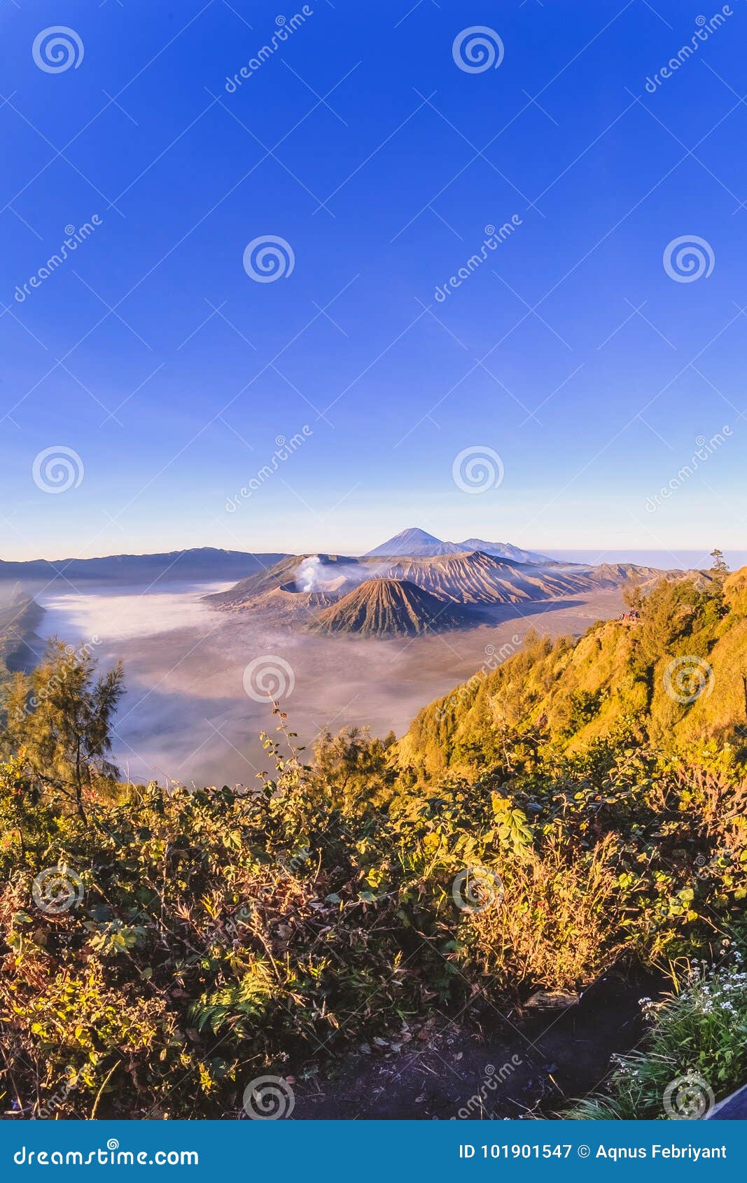Mountain Bromo at East Java Indonesia Stock Image - Image of travel ...