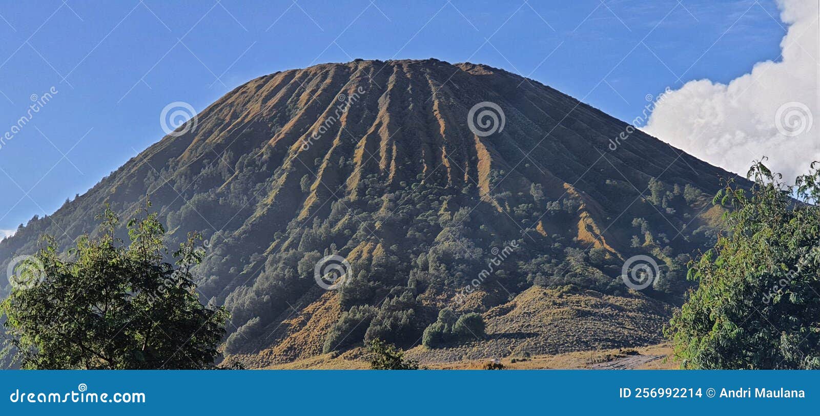 Mountain Bromo Indonesia stock photo. Image of indonesia - 256992214