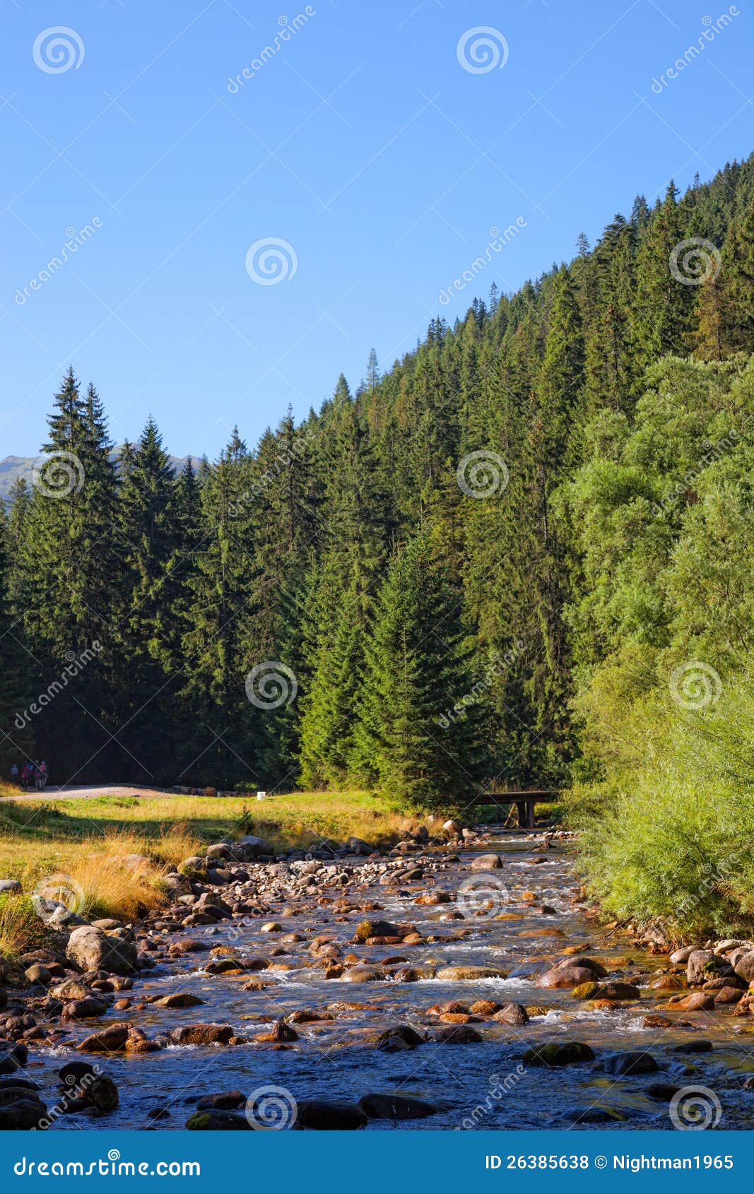 Mountain brook stock photo. Image of beauty, brook, flowers - 26385638
