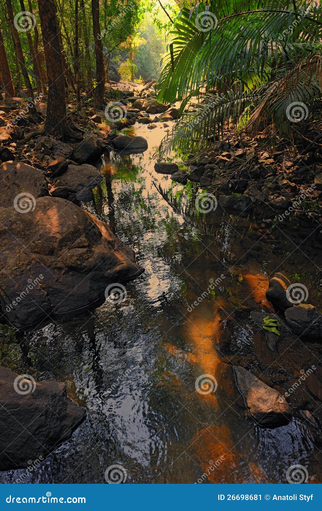 Mountain Brook stock image. Image of hiking, environment - 26698681