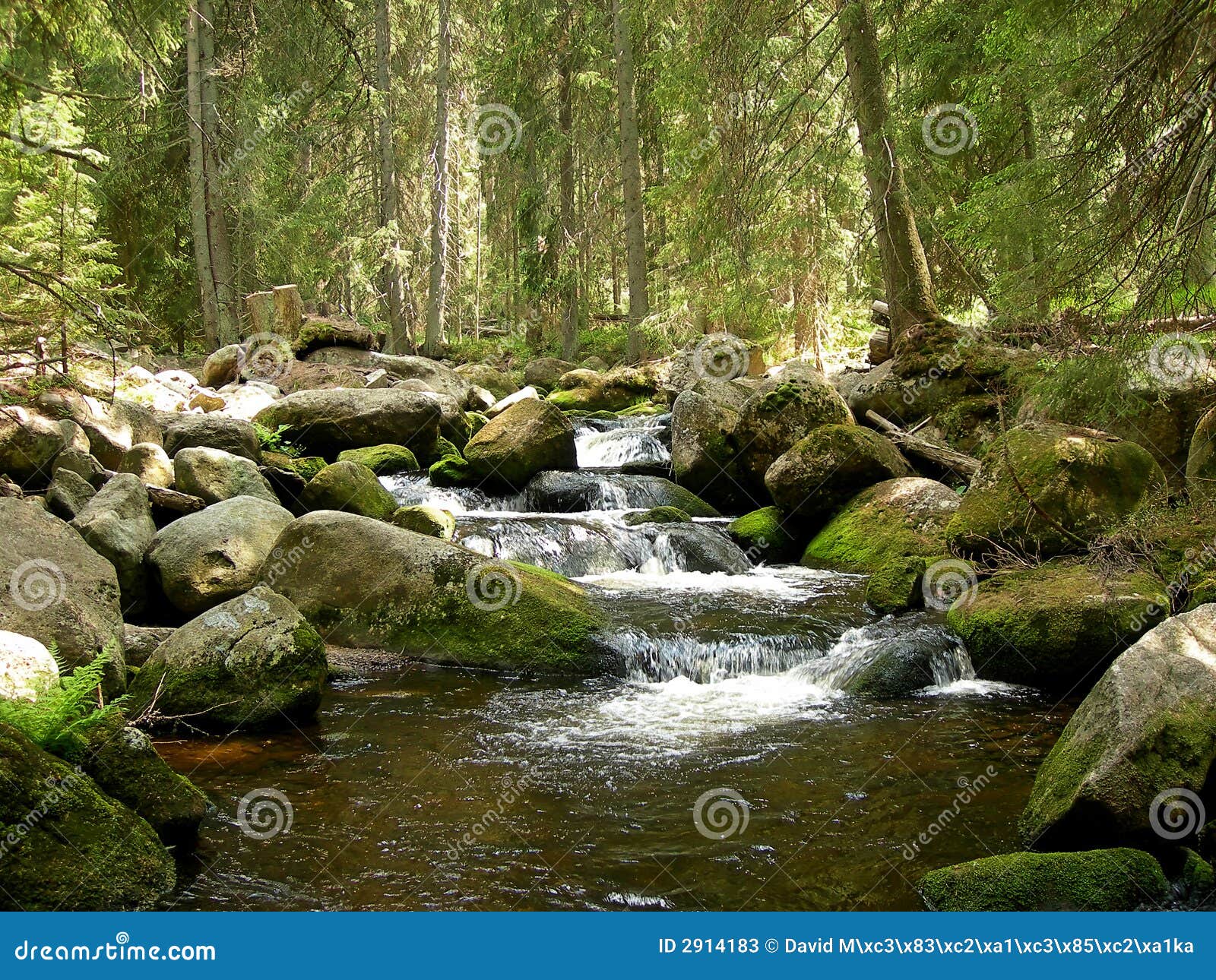 Mountain brook stock image. Image of serenity, beautiful - 2914183
