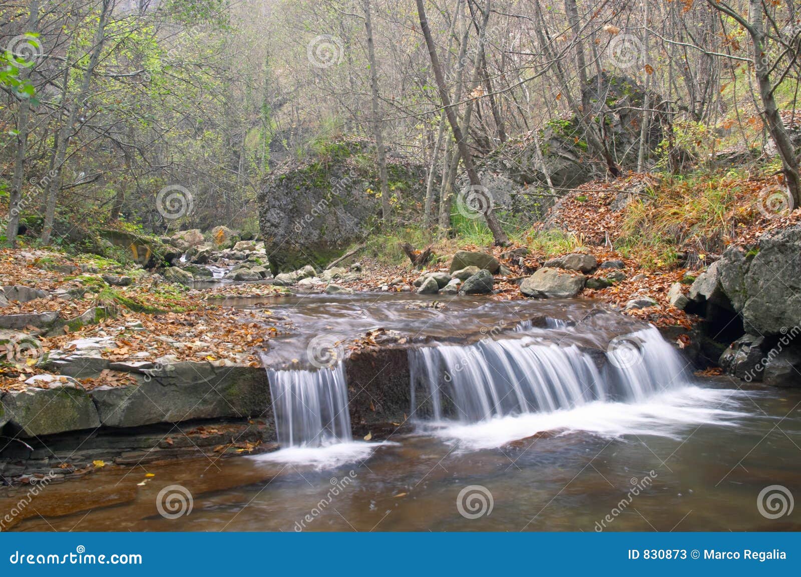 Mountain brook in autumn stock image. Image of rivulet - 830873