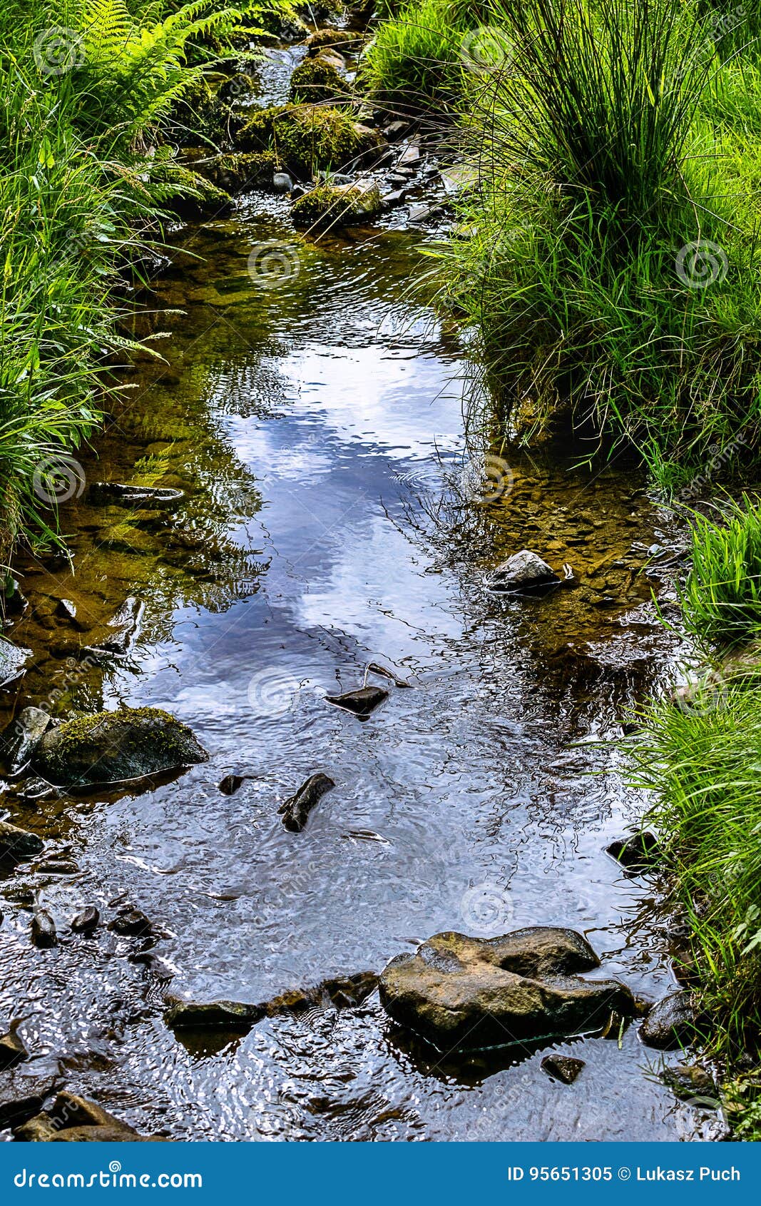 A Mountain Brook on Springtime in Close Up Stock Image - Image of ...