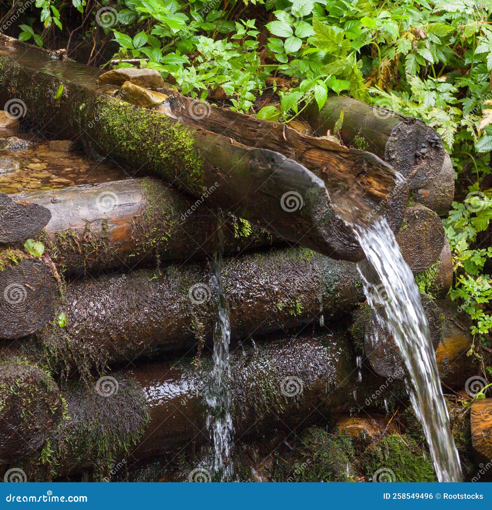 Mountain Brook. Wooden Log Well Stock Photo - Image of creek, moss ...