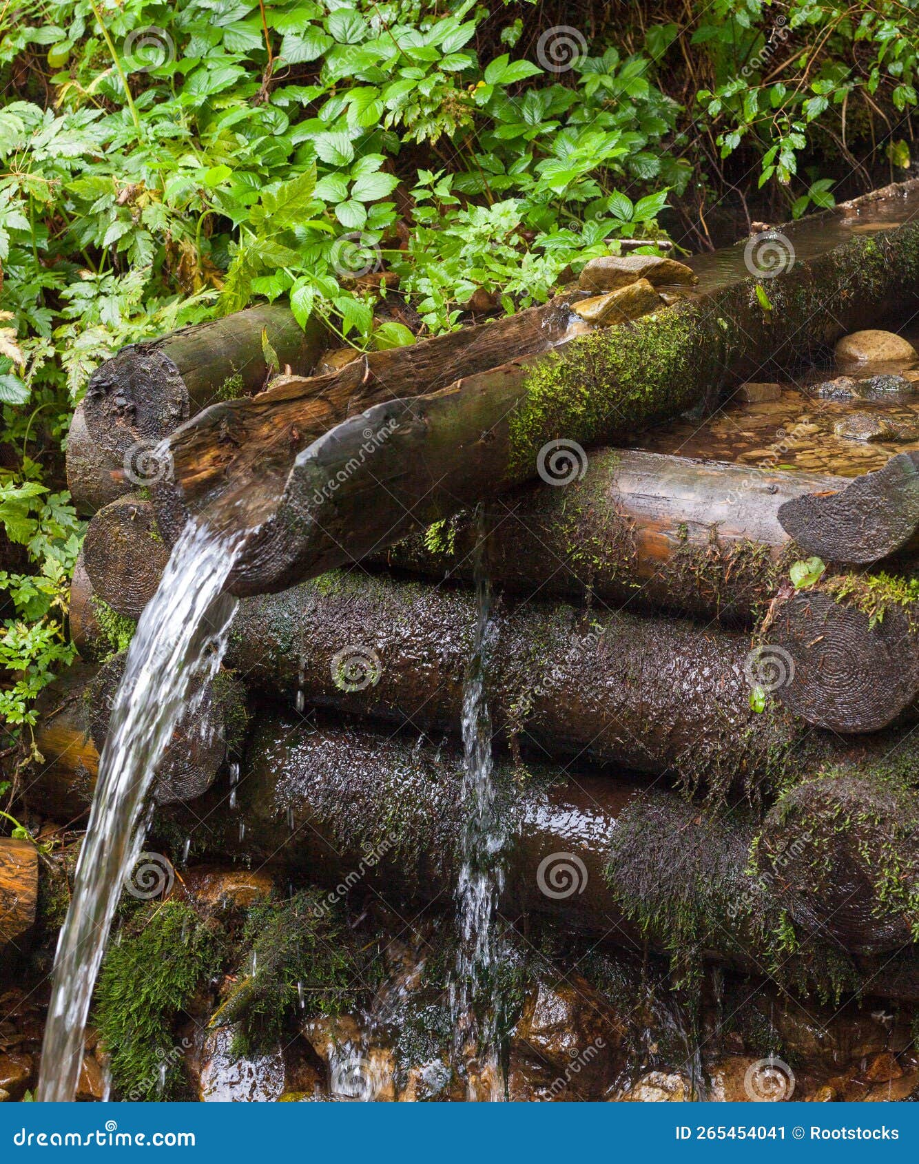 Mountain Brook. Wooden Log Well Stock Image - Image of shaft, flow ...