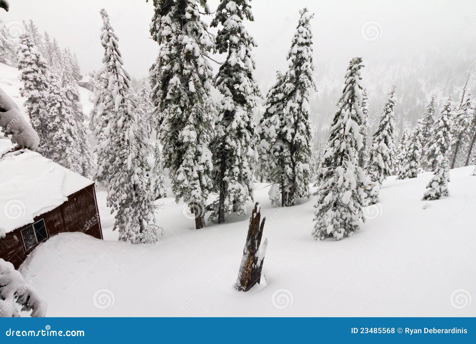 Mountain Cabin during a Winter Blizzard Stock Photo - Image of frozen ...