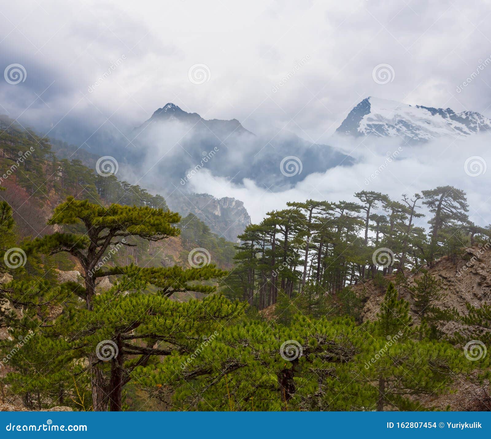 Mountain Chain in a Mist and Dense Clouds Stock Photo - Image of pine ...