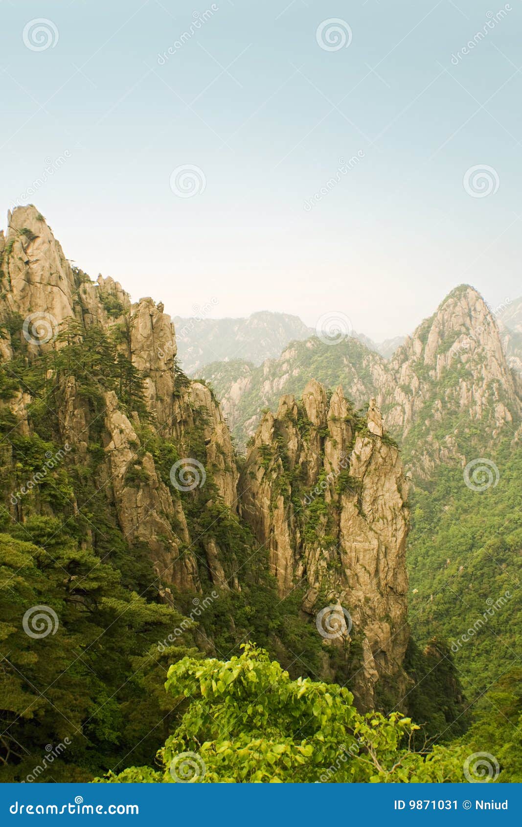 Mountain in China, Pine Trees and Steep Cliff Stock Image - Image of ...