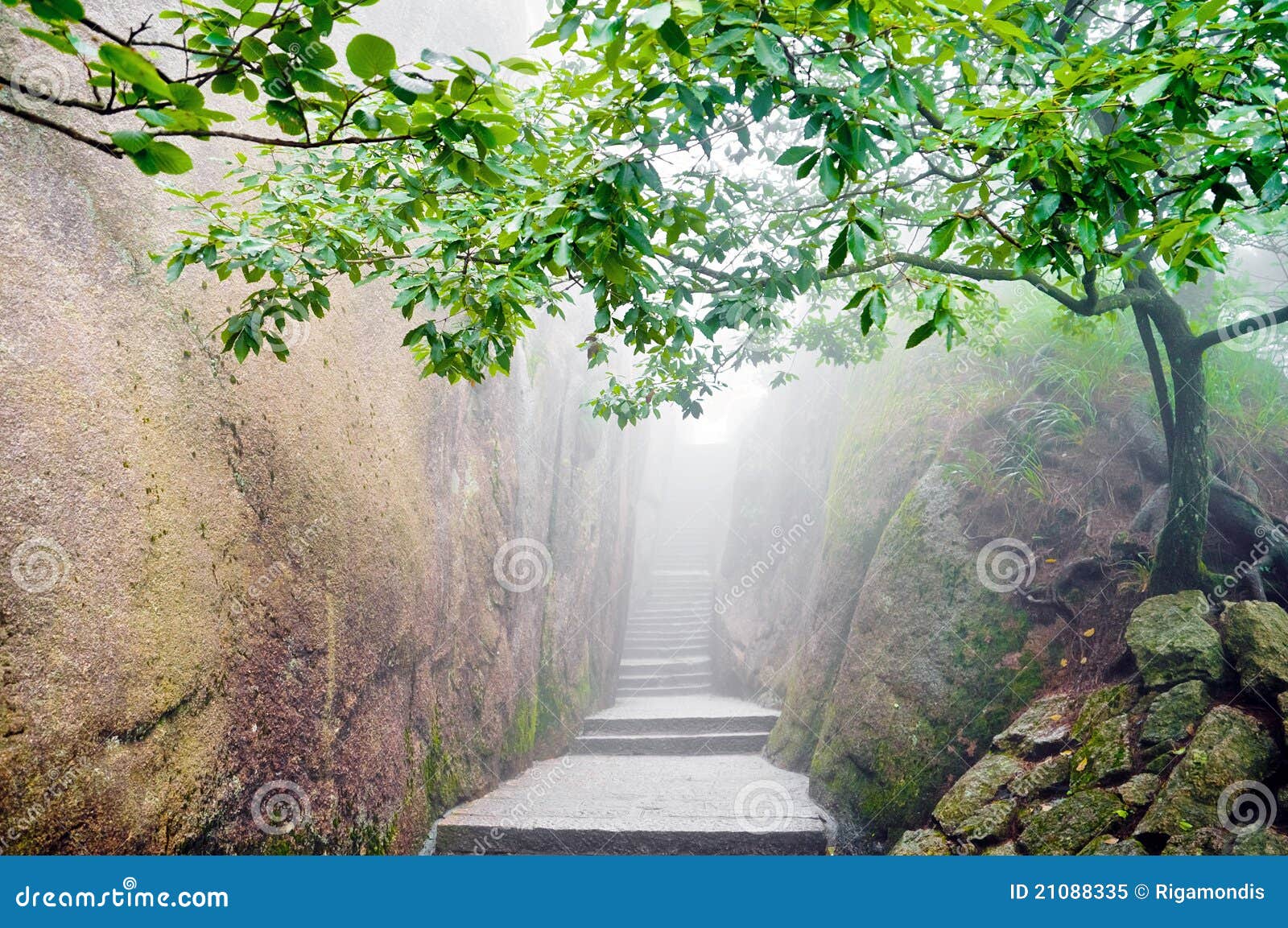 Mountain chinese zen path stock image. Image of adventure - 21088335
