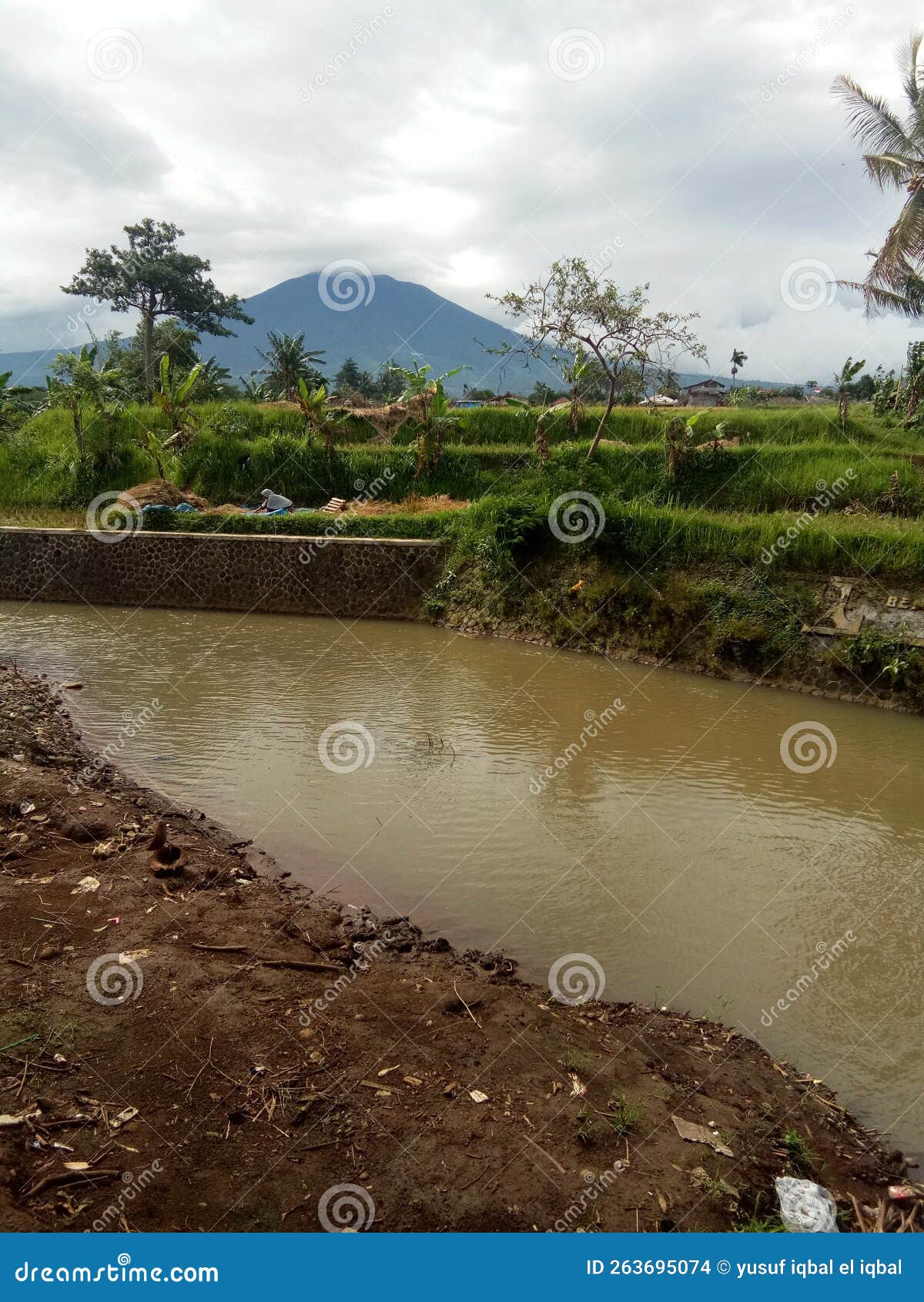 Mountain of cianjur stock photo. Image of stream, landscape - 263695074