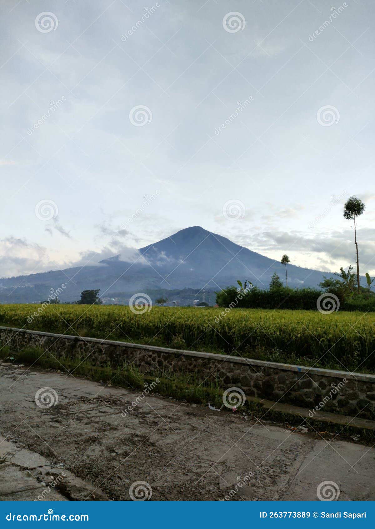 Mountain Cikurai is stock image. Image of garut, mount - 263773889