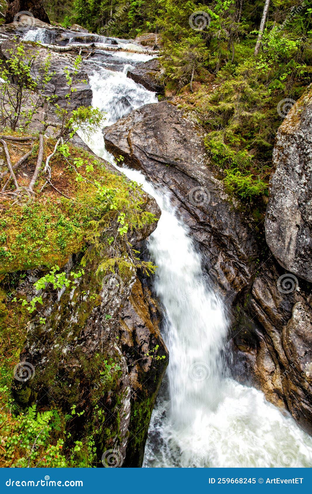Mountain River with Many Rapids Stock Image - Image of extreme, fall ...