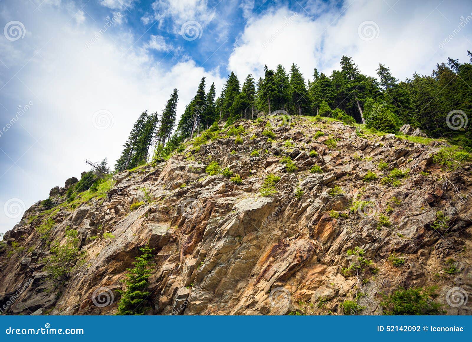 Mountain Cliff Abyss with Green Piens Stock Photo - Image of granite ...