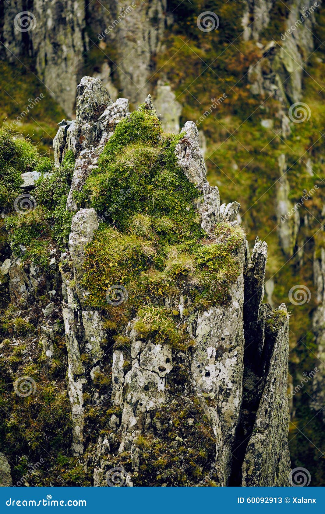 Mountain cliff closeup stock image. Image of amazing - 60092913
