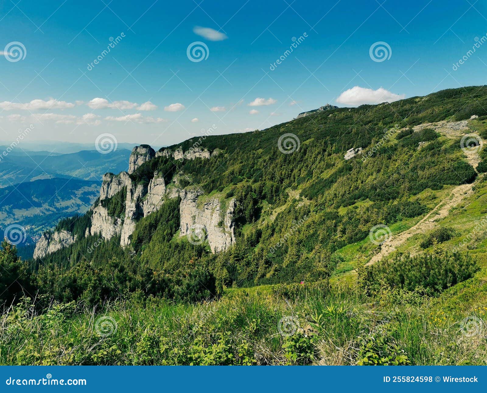 Mountain Cliff Covered with Trees and Grasses Stock Photo - Image of ...