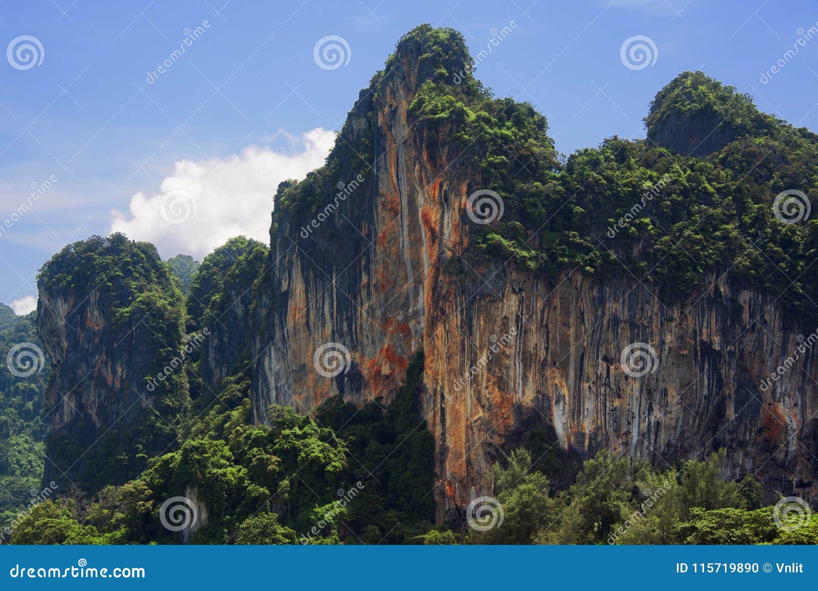 Mountain cliff with forest stock photo. Image of tree - 115719890