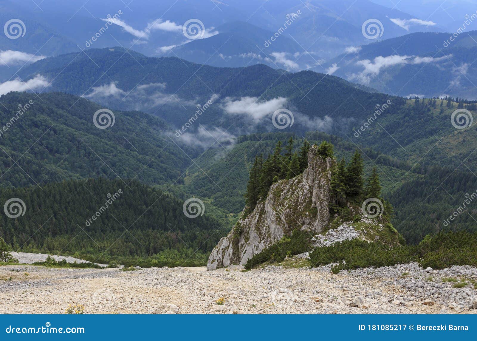 Mountain Peak Over the Forest Stock Image - Image of peak, cloud: 181085217