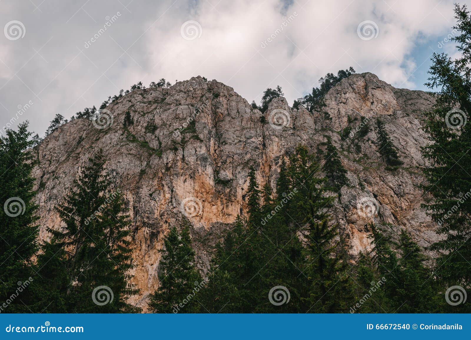 Mountain Cliff, Rocks, Forest Stock Photo - Image of altitude, cliff ...