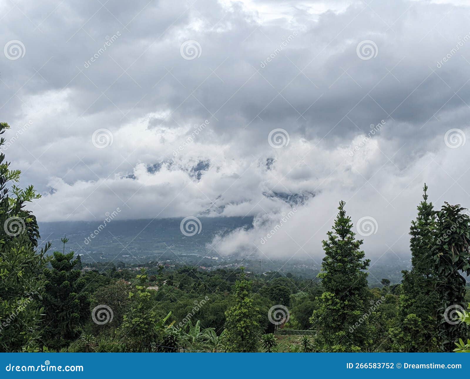 Mountain Clouds and Trees Everywhere Stock Photo - Image of clouds ...