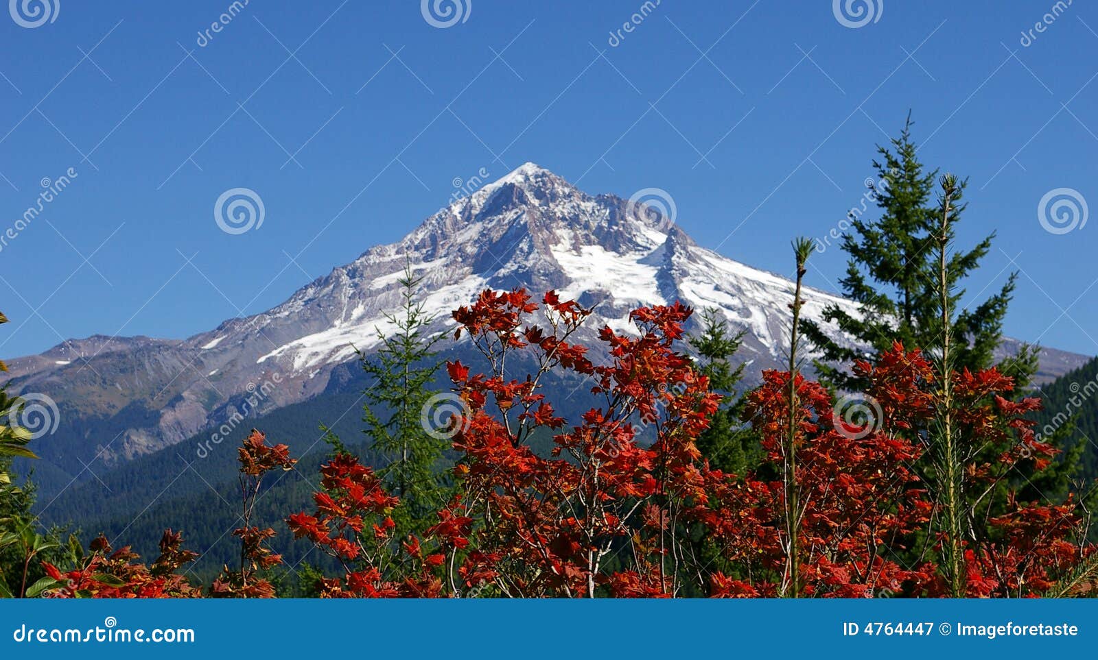 Mountain and Colors stock image. Image of country, fall - 4764447
