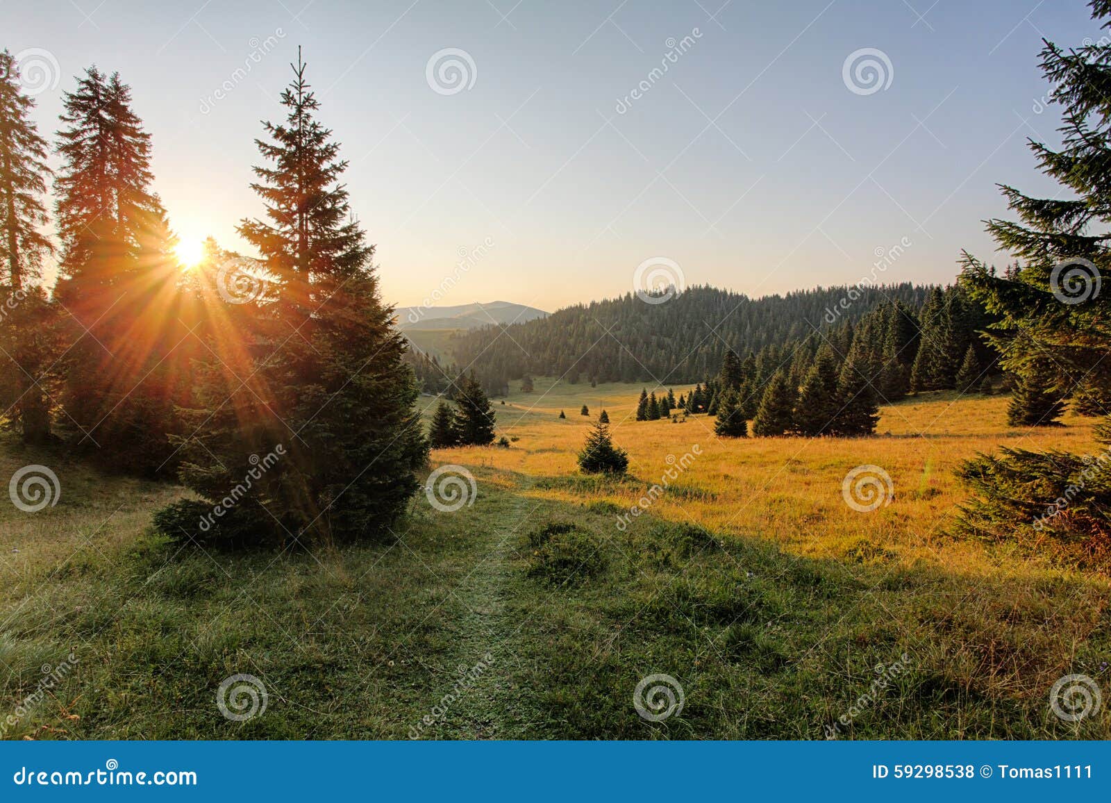 Mountain Country with Forest Stock Photo - Image of scenery, natural ...