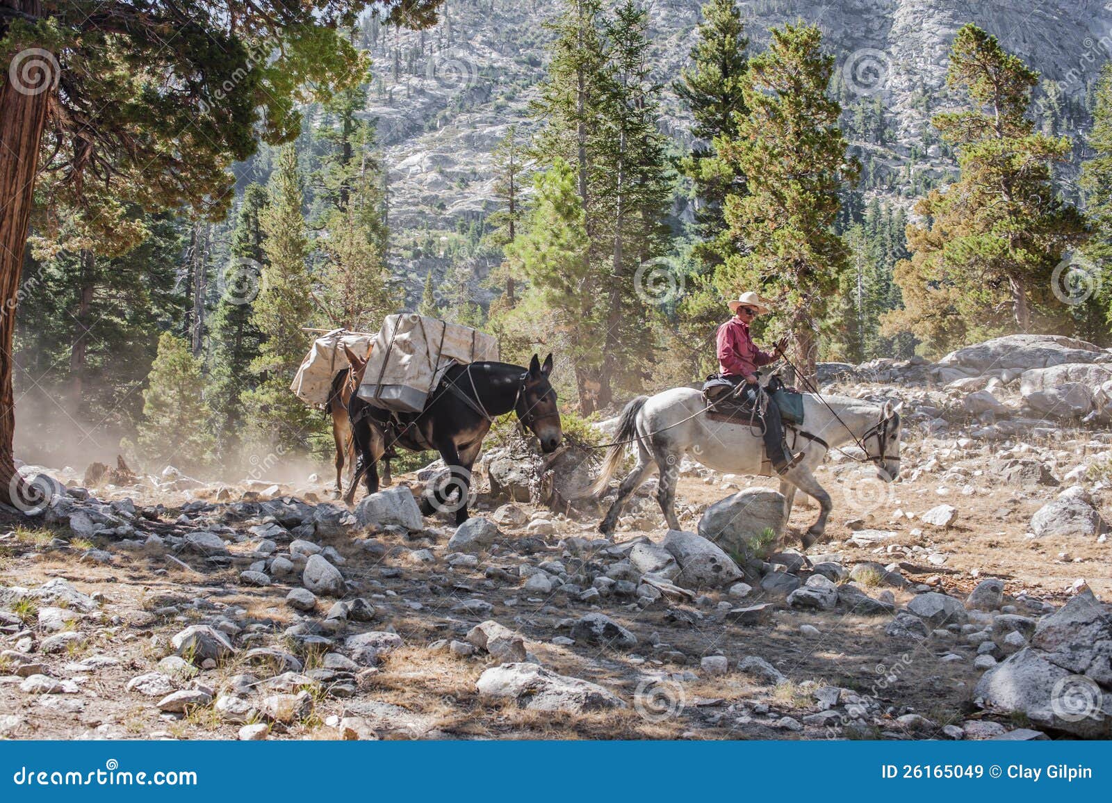 Mountain Cowboy editorial stock image. Image of train - 26165049