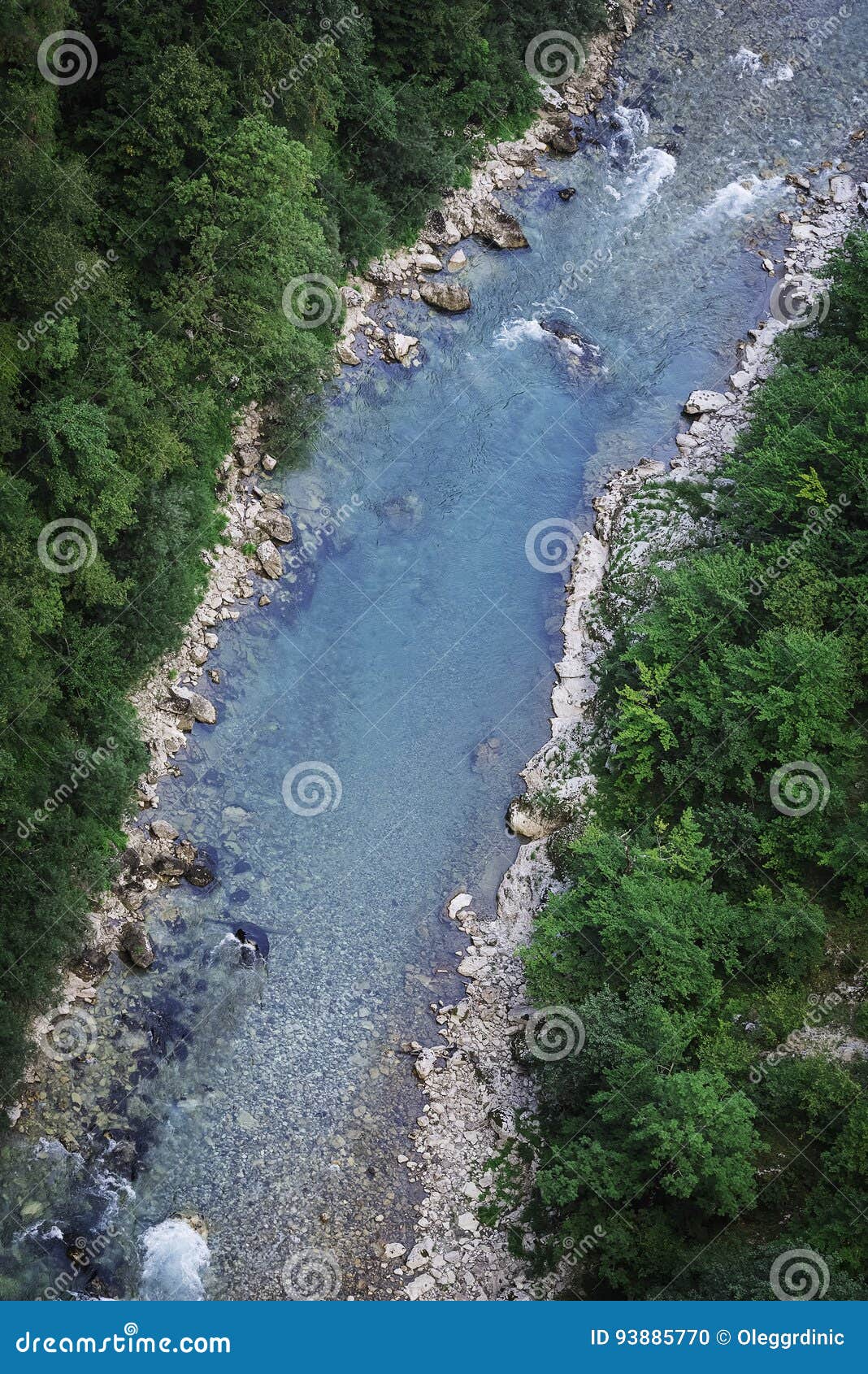 Mountain Creak Surrounded by Trees Stock Photo - Image of alpine ...