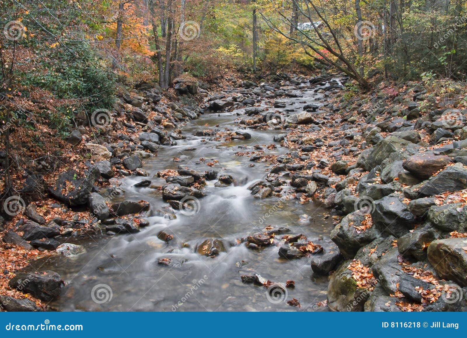 Mountain Creek in the Fall stock photo. Image of creeks - 8116218
