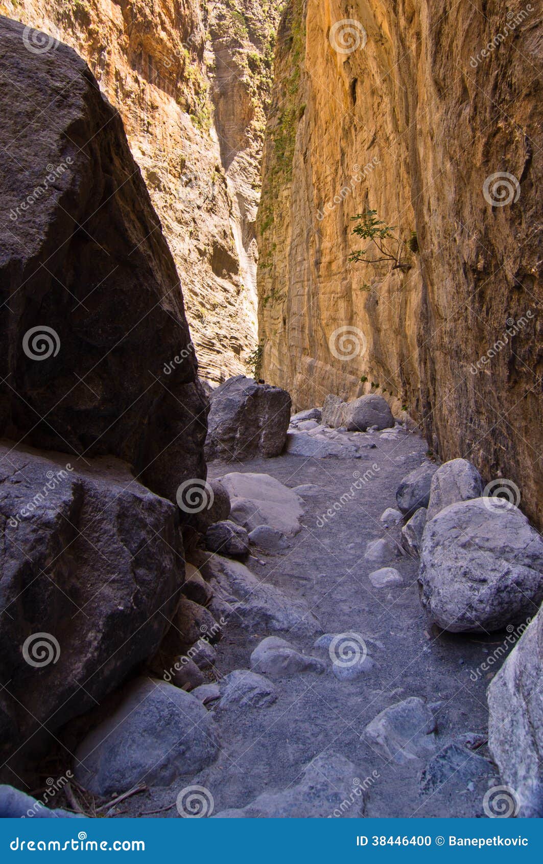 Mountain Creek through Samaria Gorge, Island of Crete Stock Photo ...