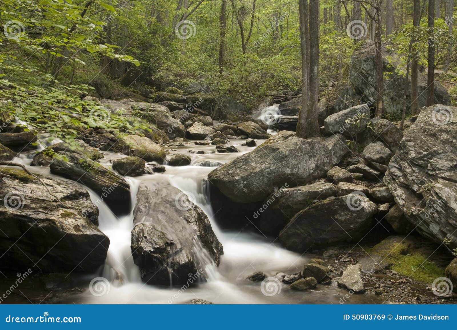 Mountain Creek stock image. Image of rocks, rapids, country - 50903769
