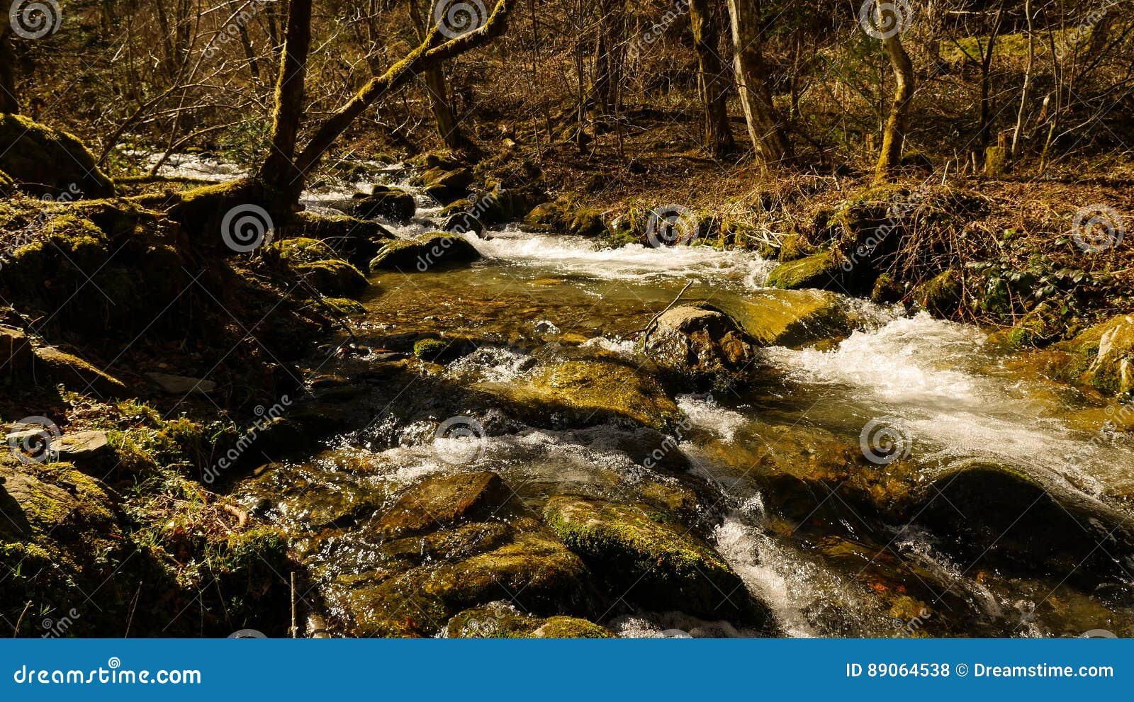 Mountain Creek during Spring Time Stock Photo - Image of stone ...