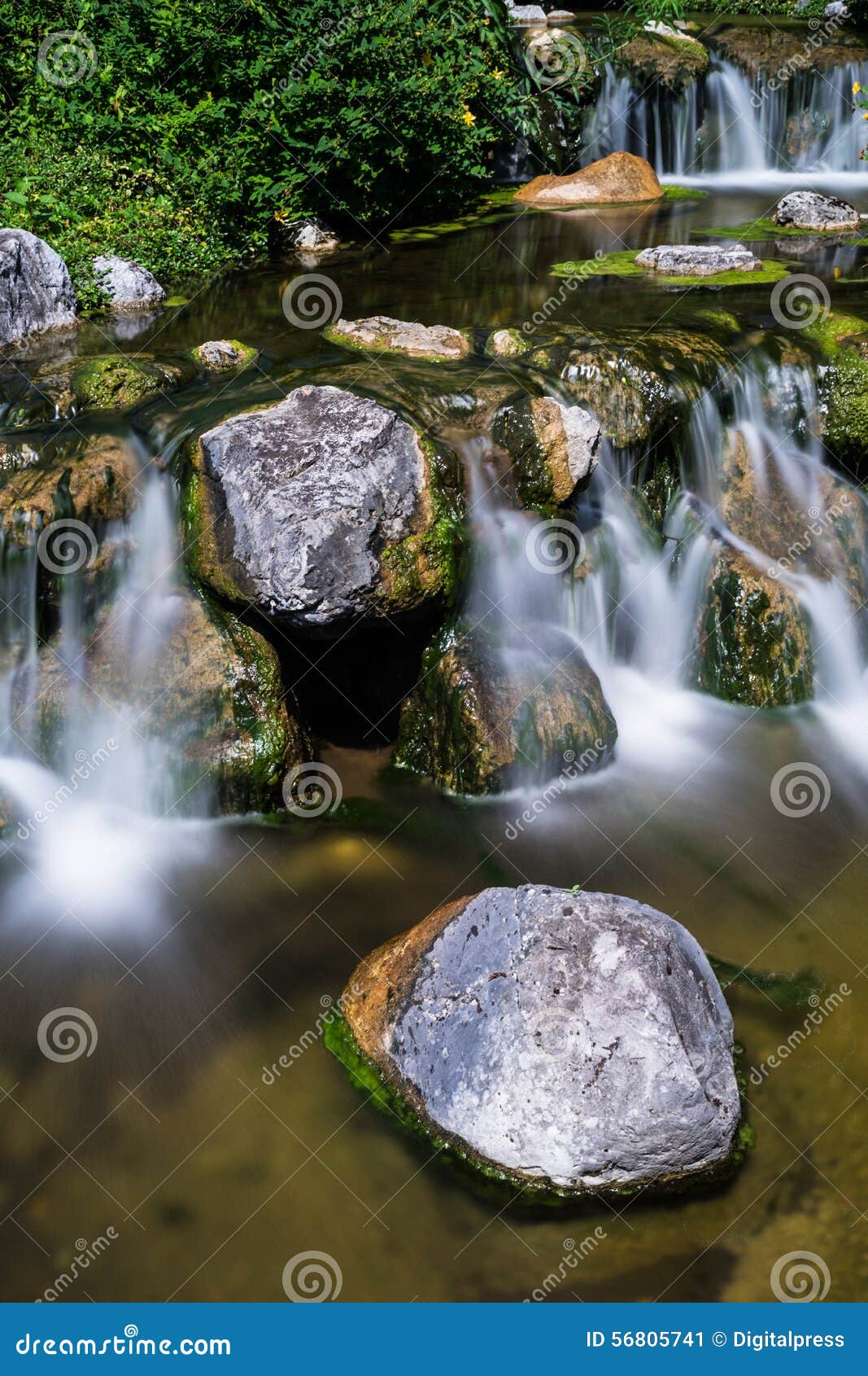 Mountain Creek with Waterfall Stock Image - Image of water, nature ...