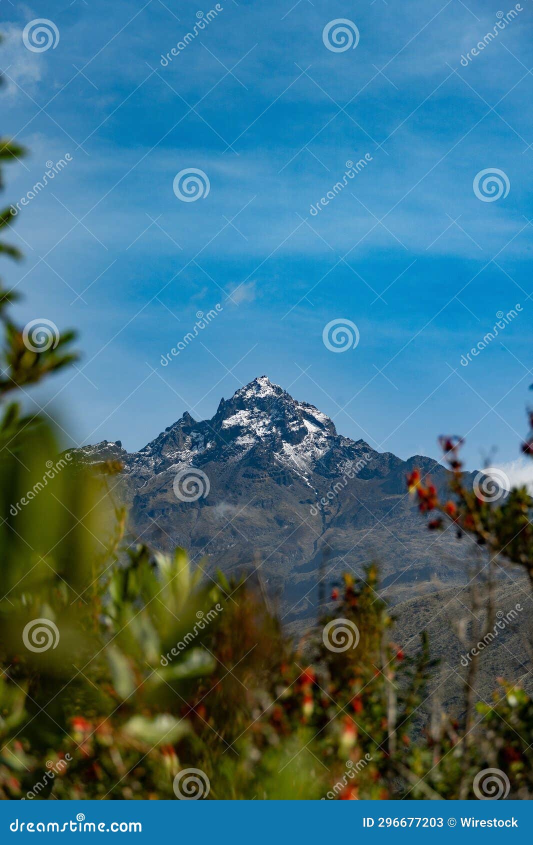 Mountain Crest Surrounded by Lush Foliage of Trees and Wildflowers ...