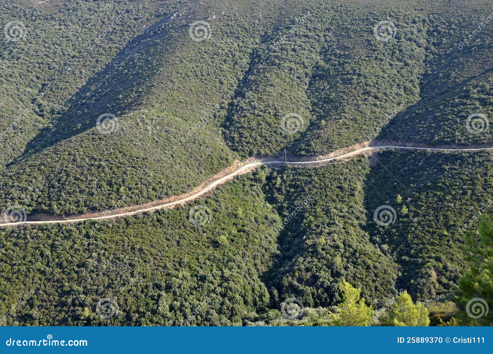Mountain curves stock photo. Image of curved, bucegi - 25889370