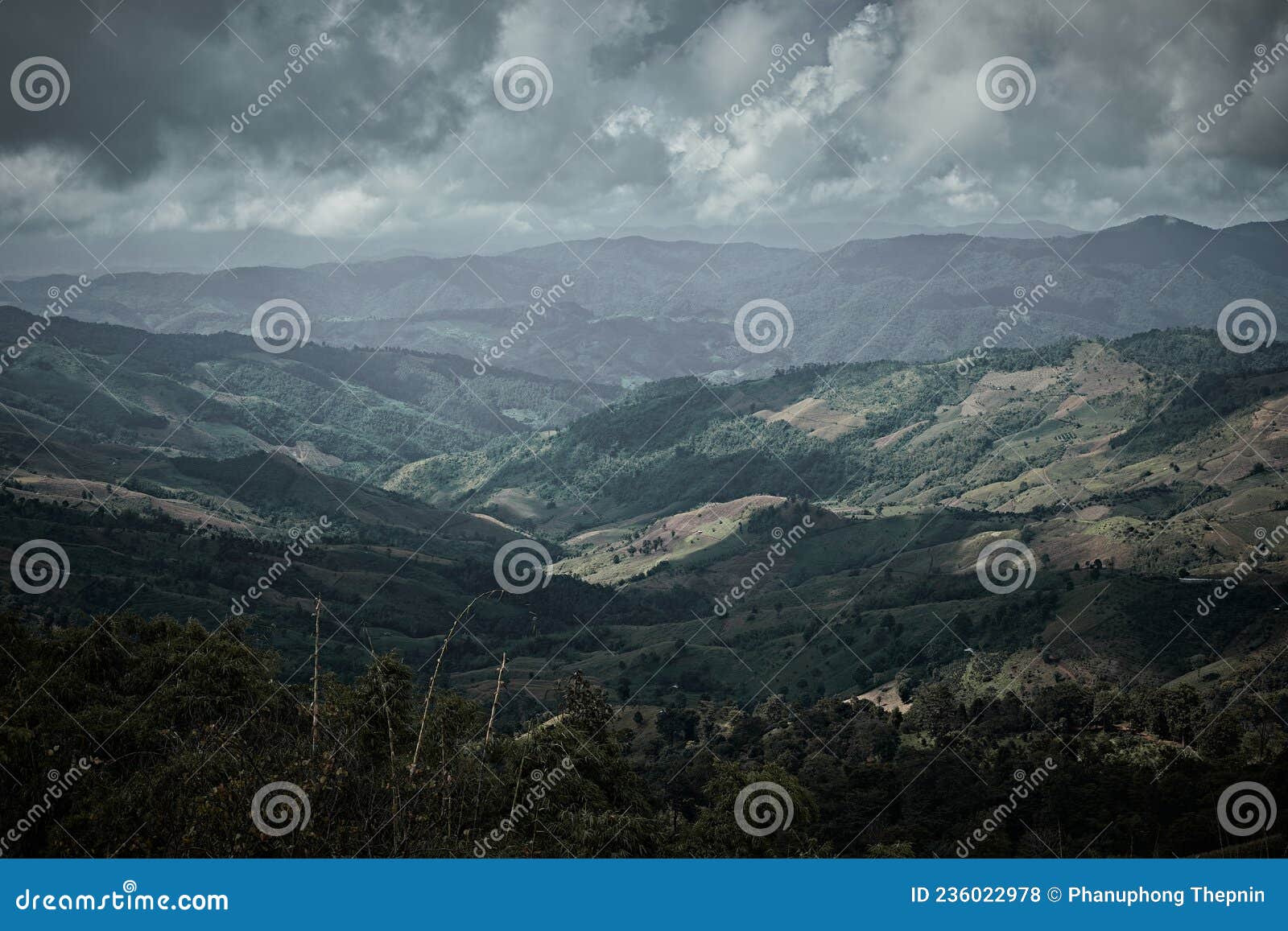 Mountain in Doi Chang, Chiang Rai Stock Photo - Image of scenic ...
