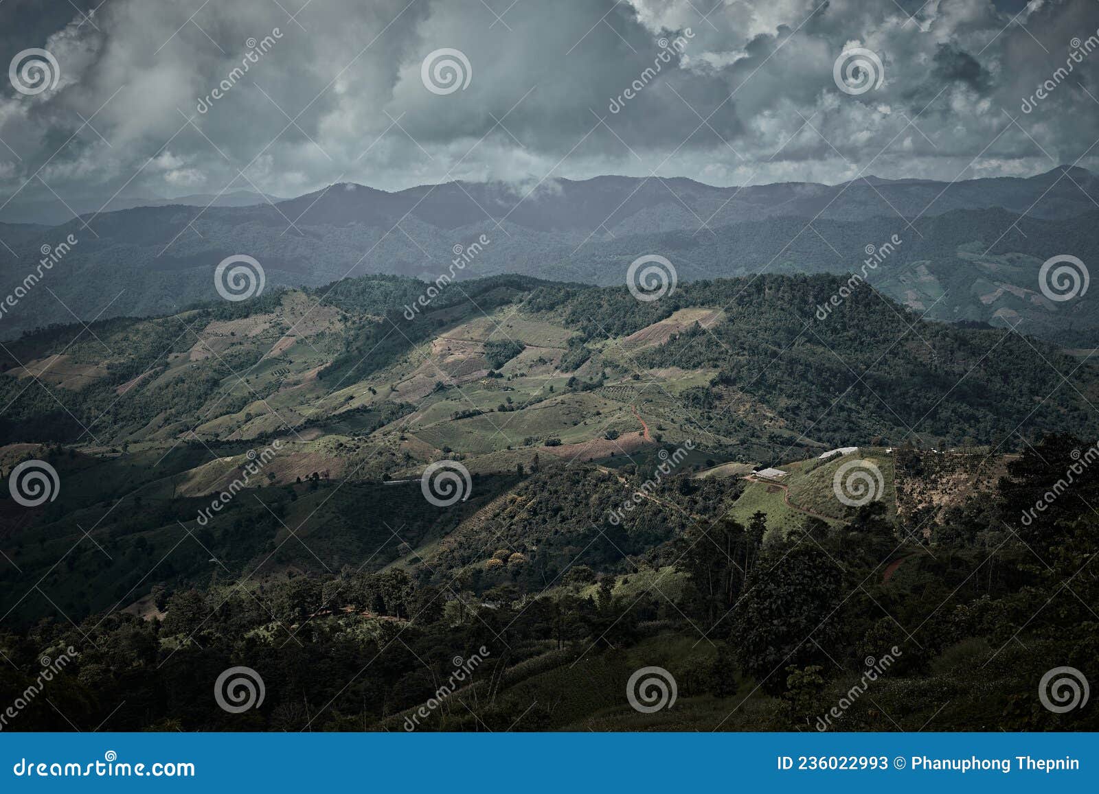 Mountain in Doi Chang, Chiang Rai Stock Image - Image of scenic, grass ...