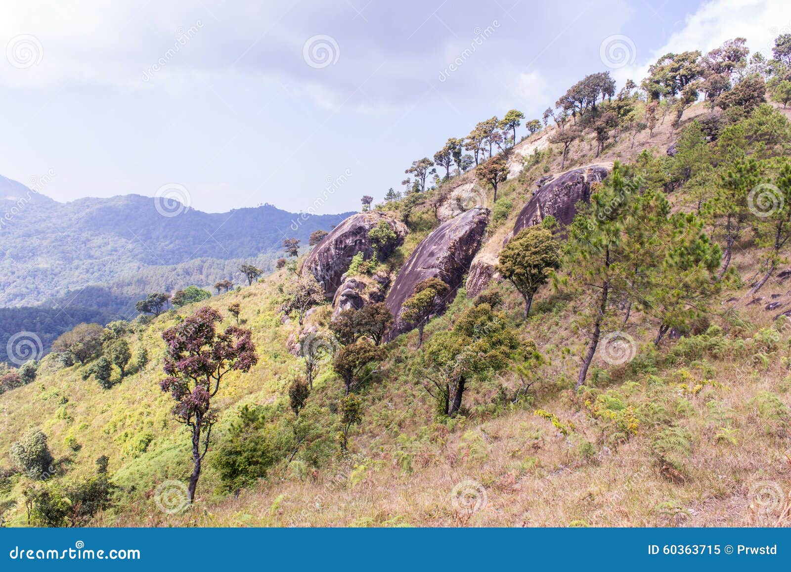 Mountain in Doi Inthanon, Chiangmai Thailand Stock Image - Image of ...