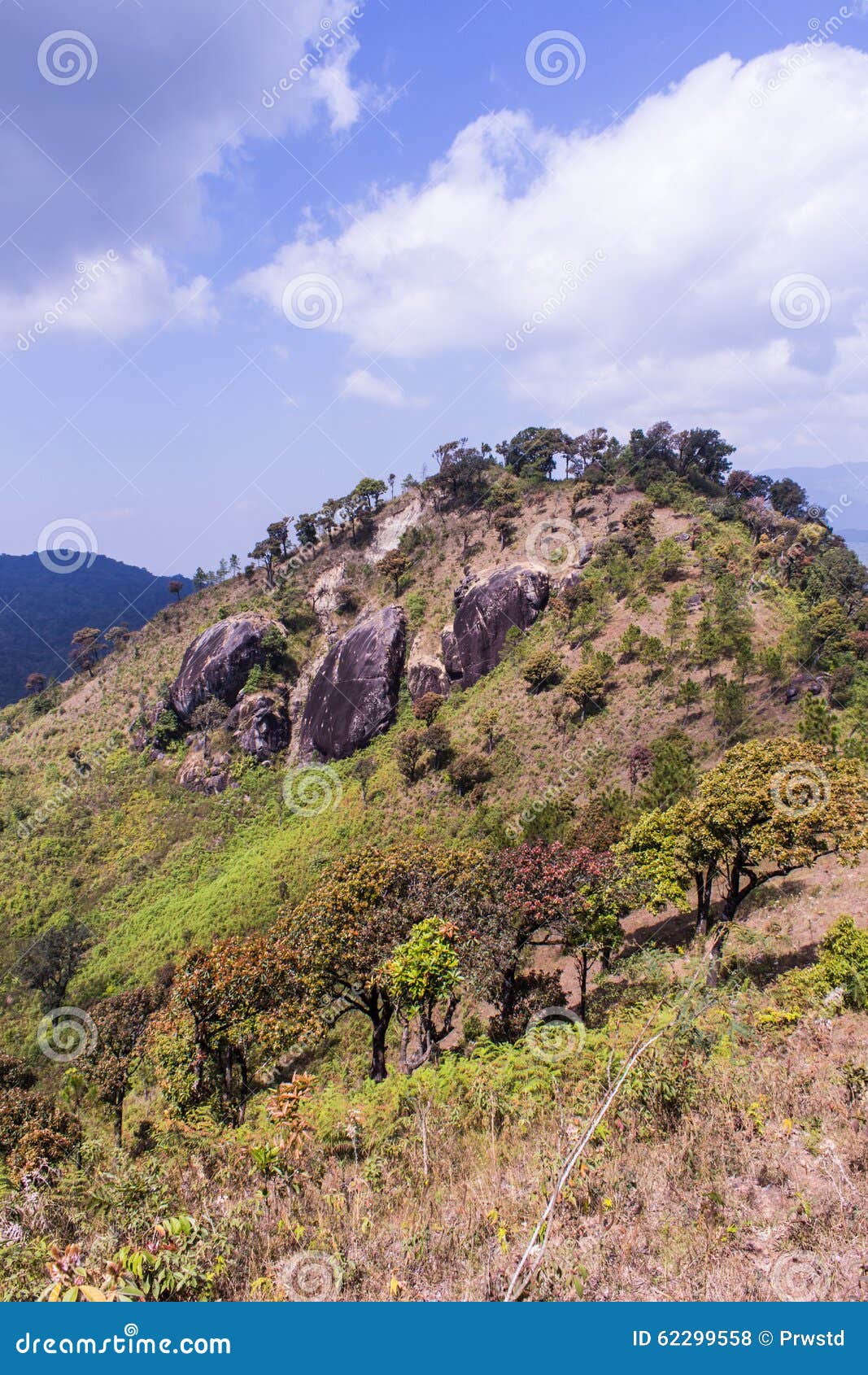 Mountain in Doi Inthanon, Chiangmai Thailand Stock Photo - Image of ...