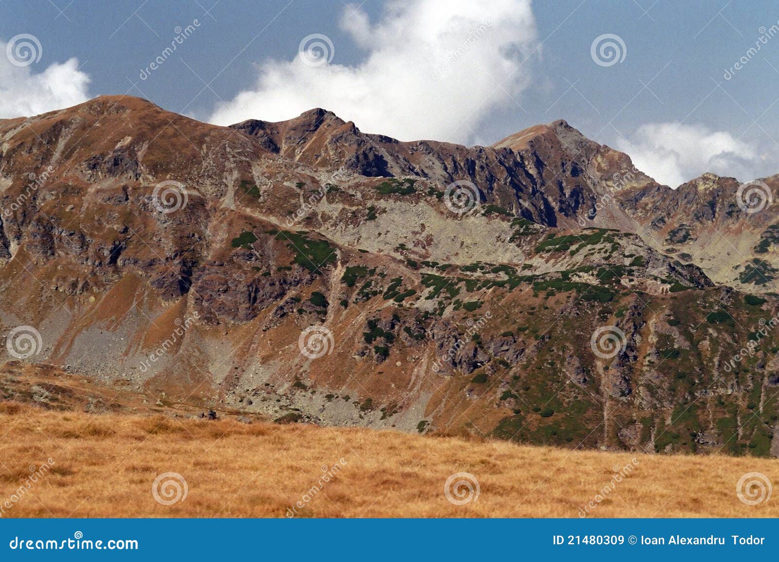 The mountain edge stock image. Image of water, pine, visit - 21480309
