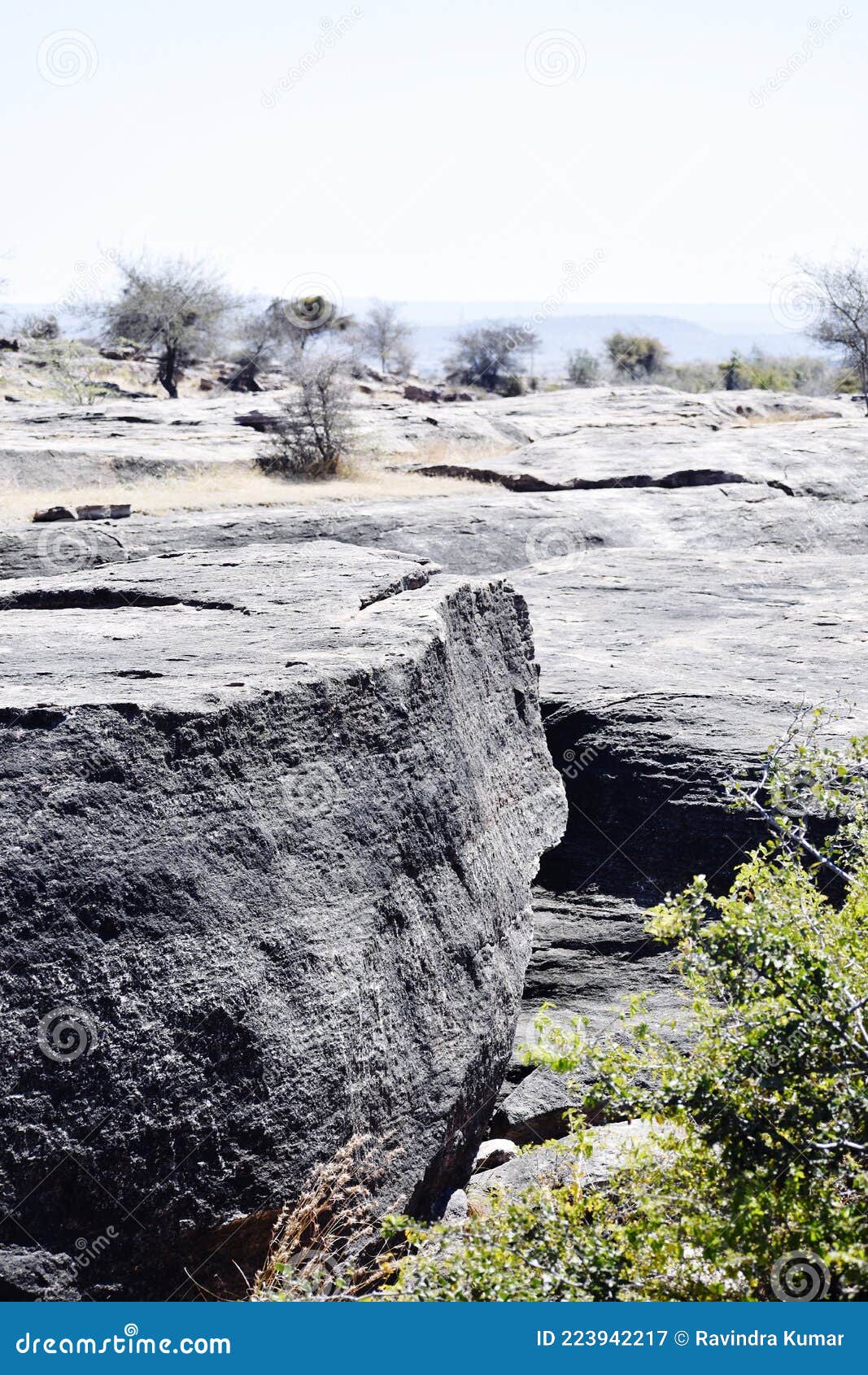 A Mountain is an Elevated Portion of the Earth S Crust, Generally with ...