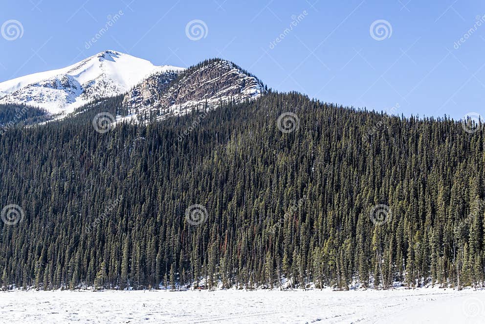 Mountain and Evergreen Forest Early Spring in Alberta Canada Stock ...