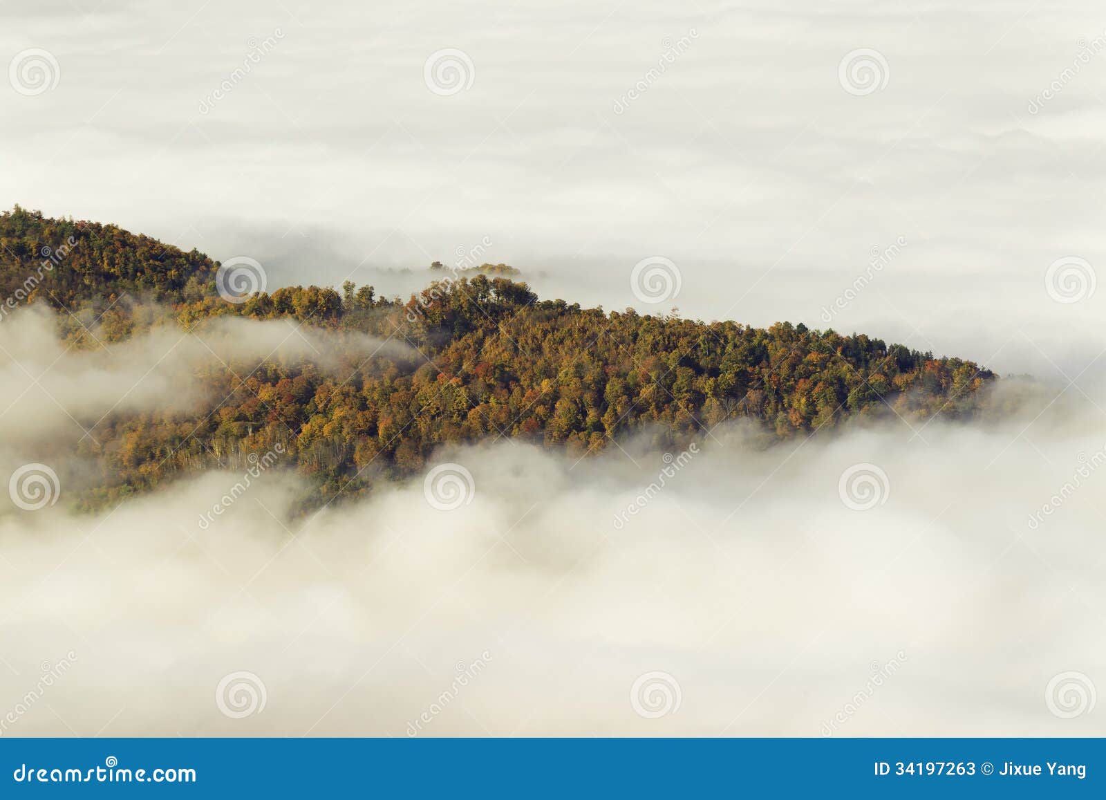 Mountain Fall Foliage stock image. Image of tree, forest - 34197263
